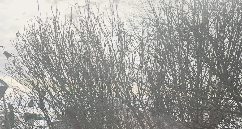 10 Ambient Songs Dedicated to Winter | Selective Memory